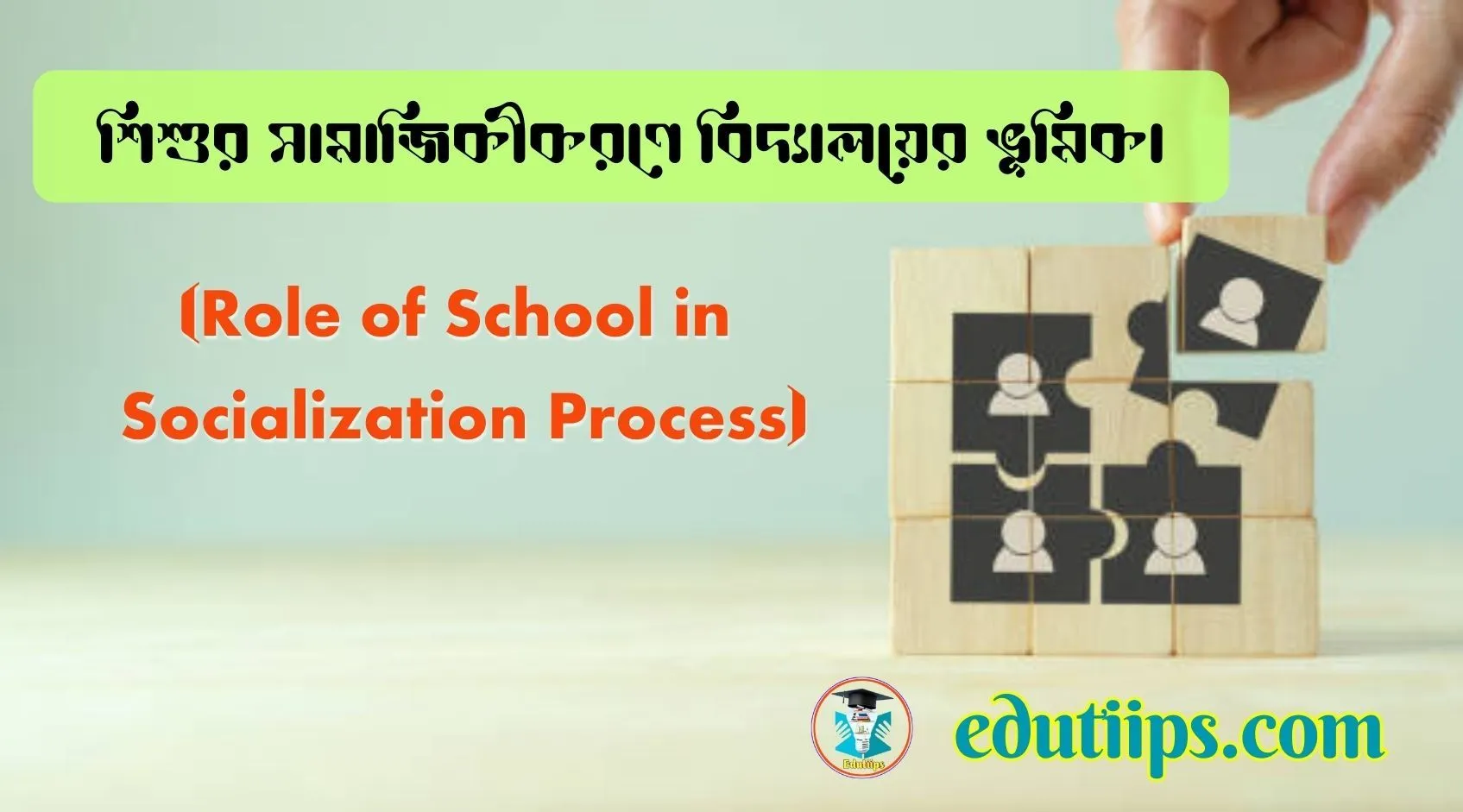 শিশুর সামাজিকীকরণে বিদ্যালয়ের ভূমিকা | Socialization Process